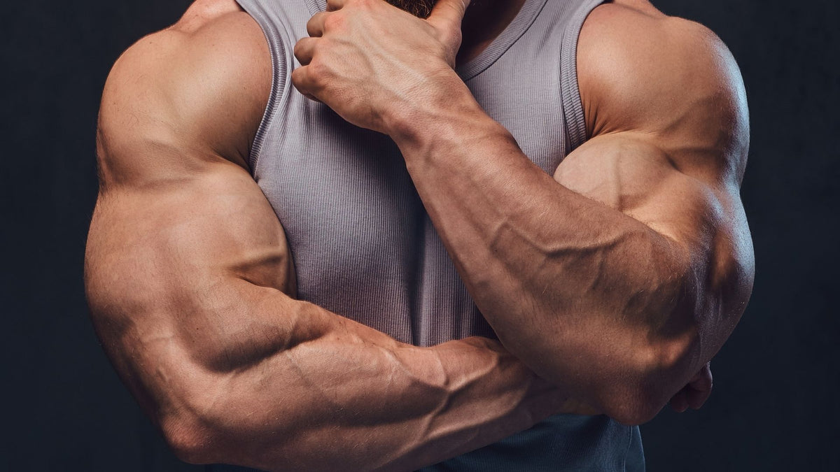 Best Testosterone Boosting Foods – TestoPrime USA